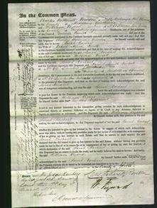 Court of Common Pleas - Sarah Rachel Routh – Original Ancestry