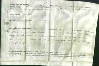 Deed by Married Women - Jane Death Needham – Original Ancestry